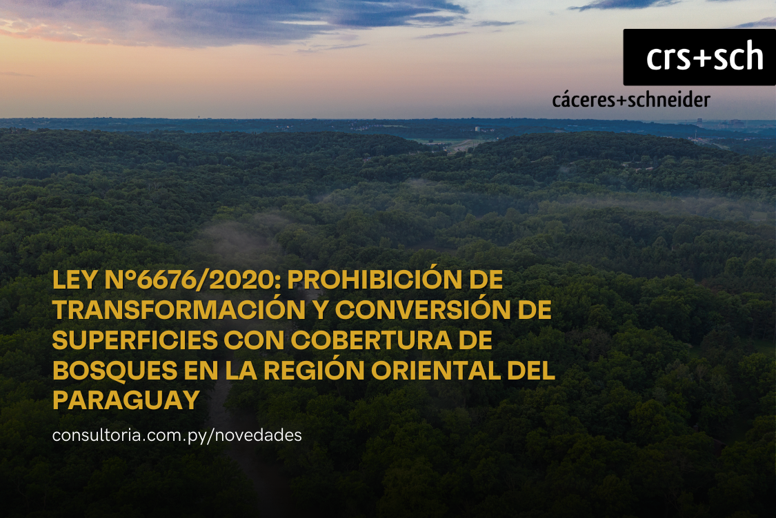 ¿Sabías de la vigencia de Ley N°6676/2020? - Cáceres & Schneider